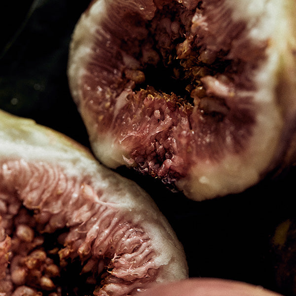 Longtake Blacktea & Fig Solid Perfume 30ML – Global Amore Mall